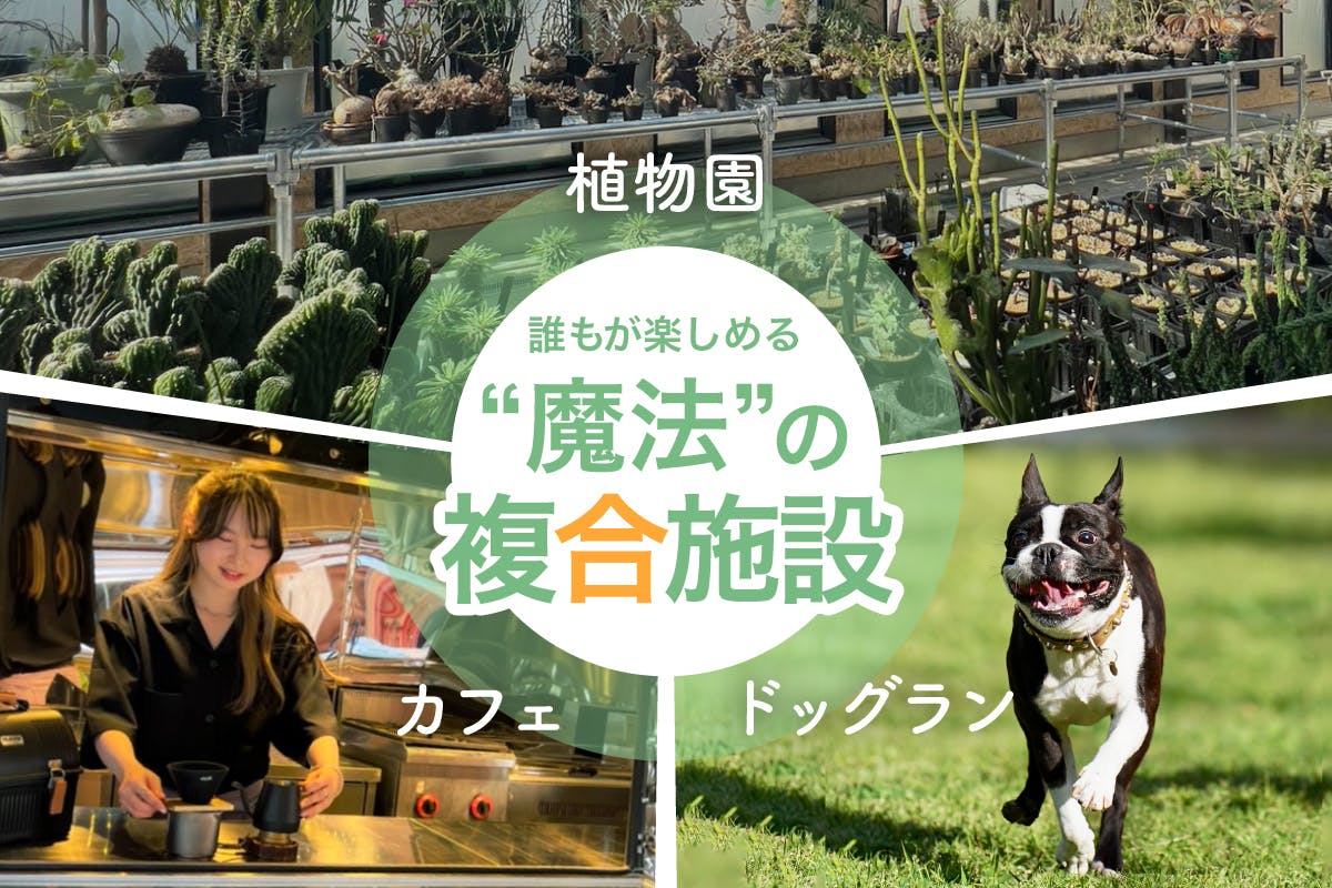 魔法の複合施設BOTANICAL GARDEN OZMAN（オズマン） | 徒然グルメ日記