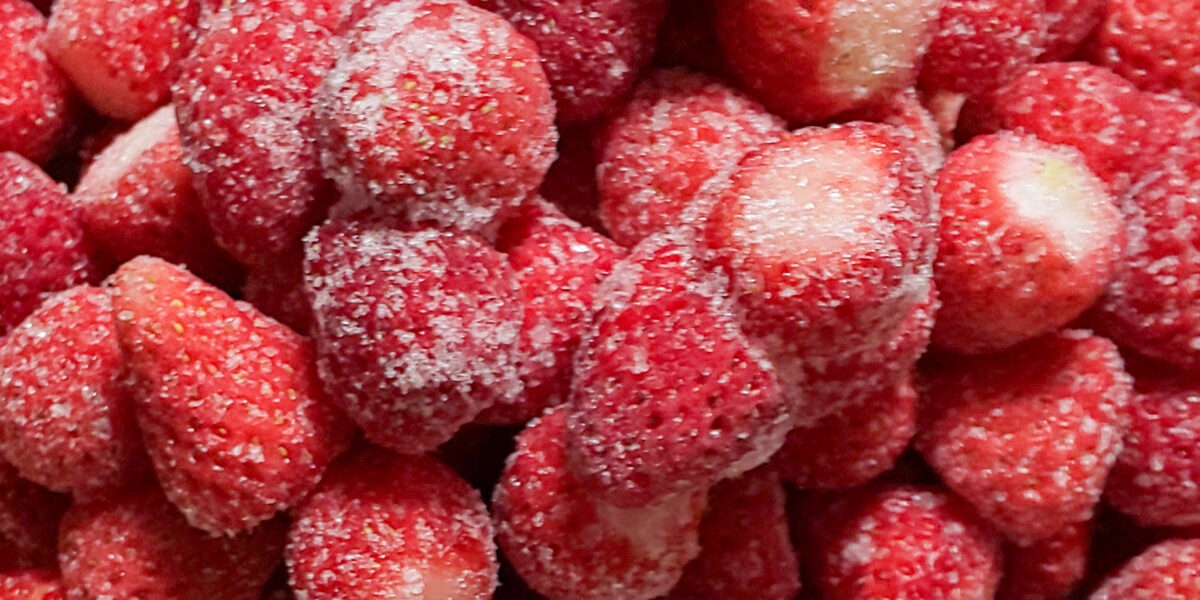 魔法の複合施設BOTANICAL GARDEN OZMAN（オズマン） | 徒然グルメ日記